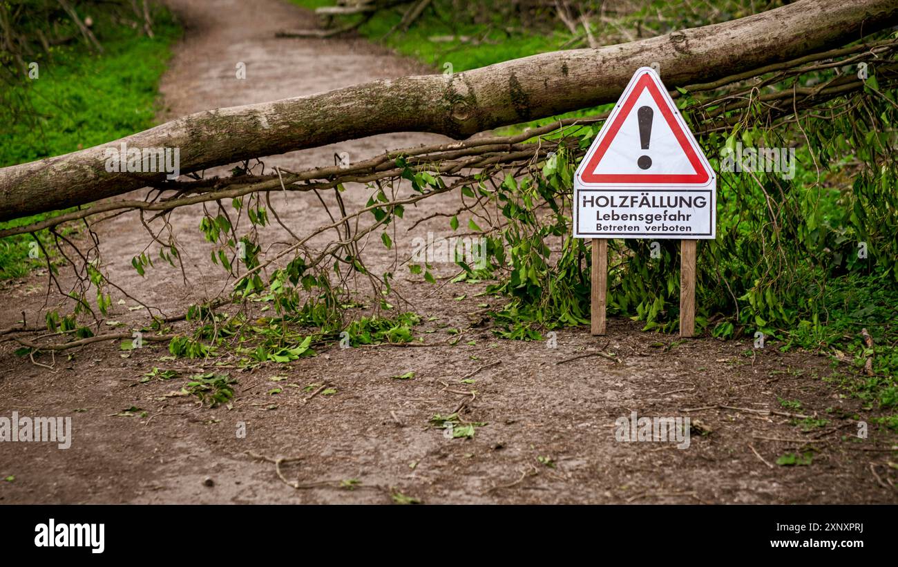 Sign: Logging Danger to life No trespassing, with a tree trunk blocking ...