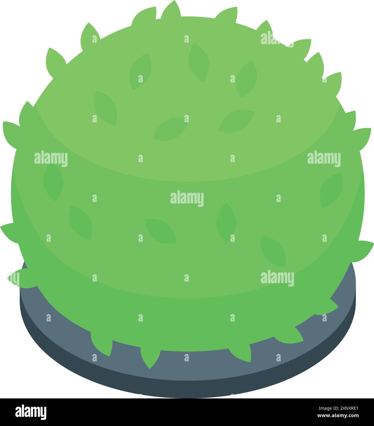 Round shaped hedge Stock Vector Images - Alamy