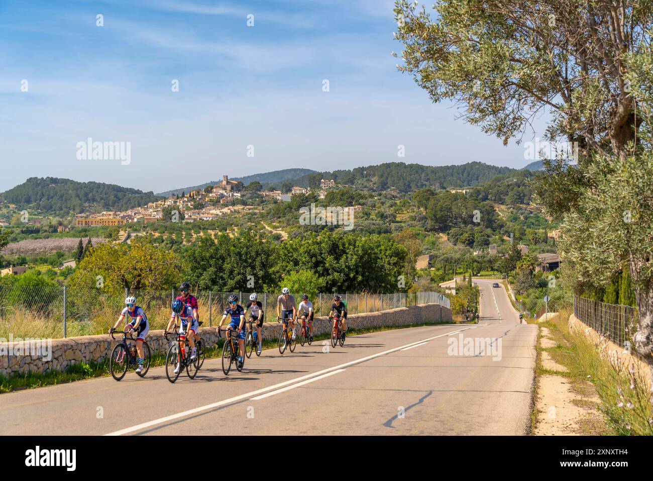 View of cyclists and hilltop town of Selva, Majorca, Balearic Islands ...