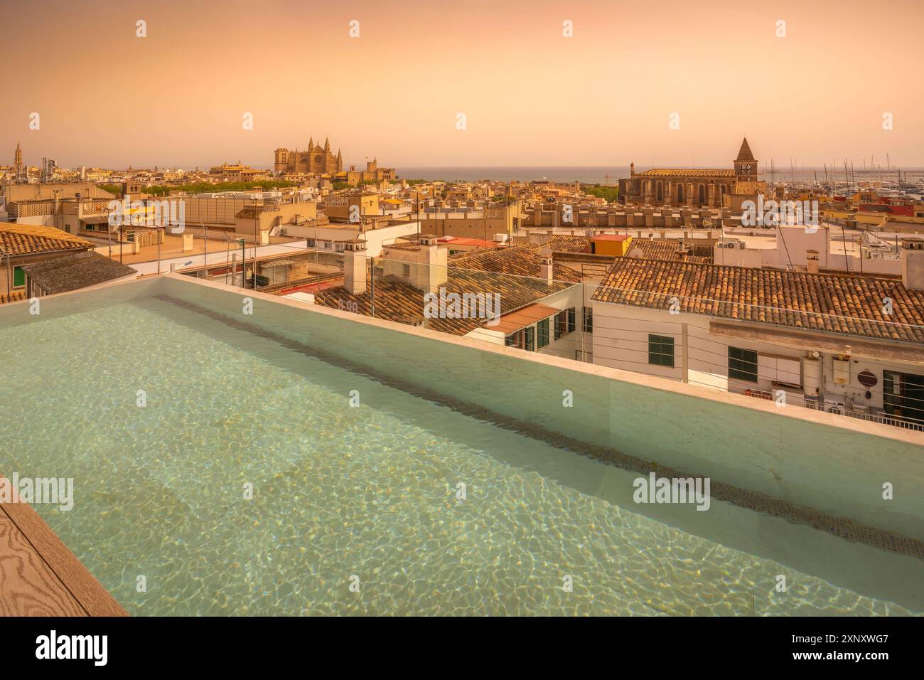 View of Catedral-Basilica de Santa Maria de Mallorca and rooftop pool ...