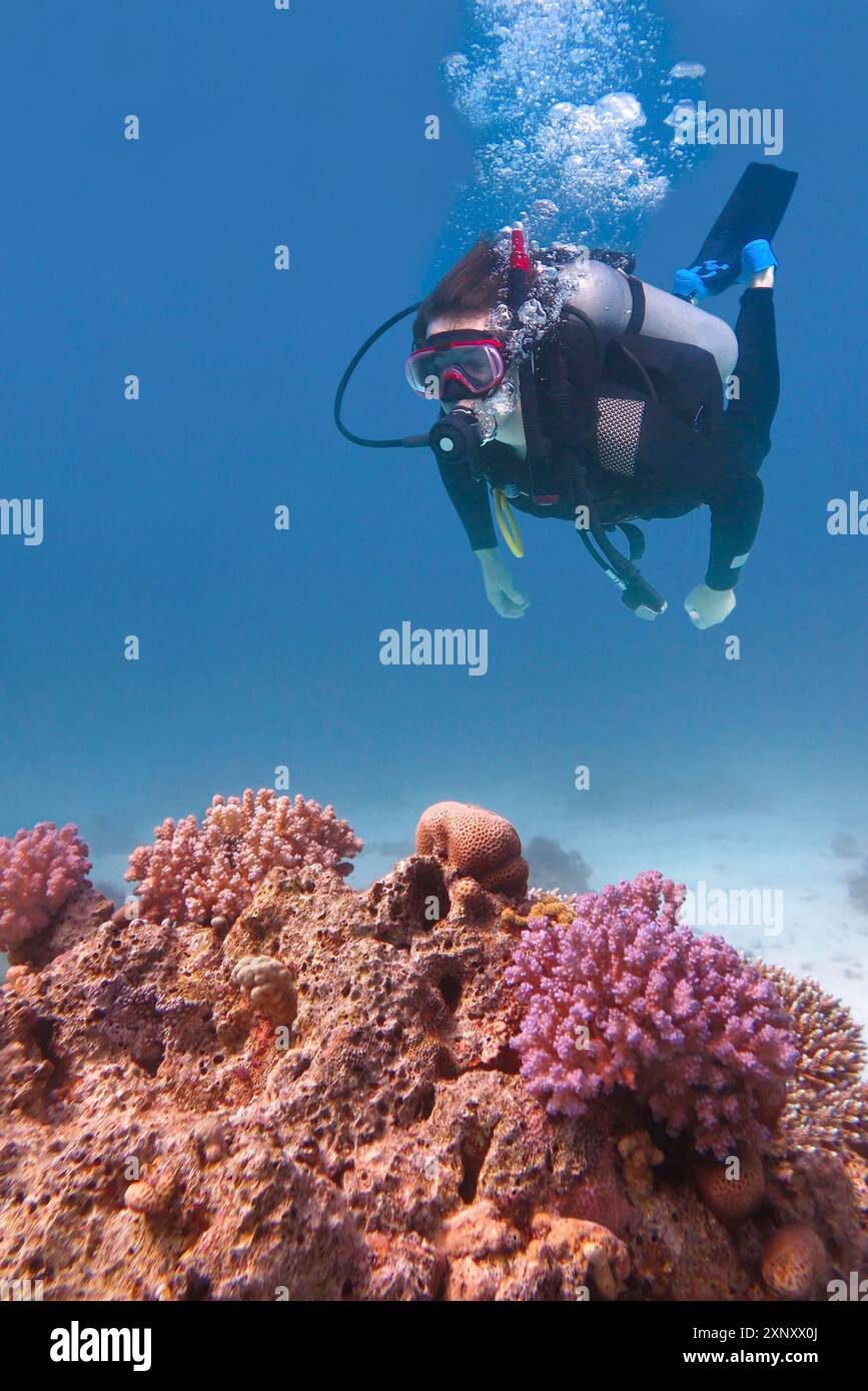 Man in diving gear hi-res stock photography and images - Alamy