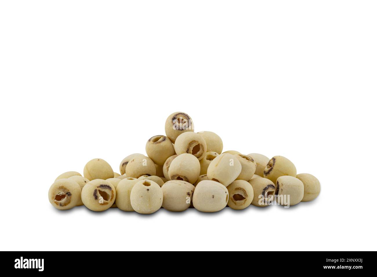 Pile of dried lotus seeds on white background with clipping path ...