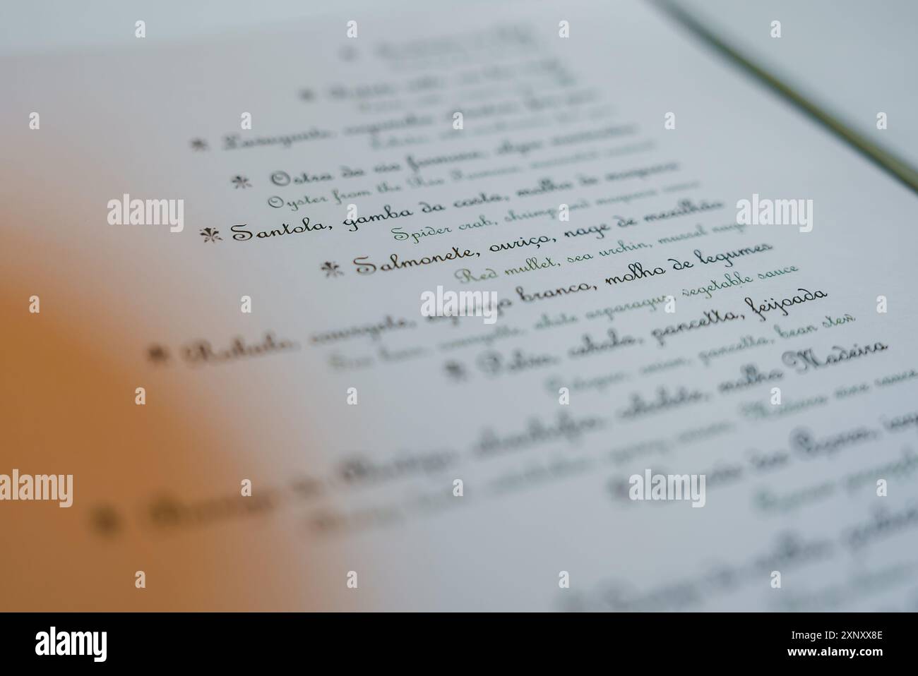 Elegant Menu Close-Up in Luxury Hotel with Sophisticated Cursive Text ...