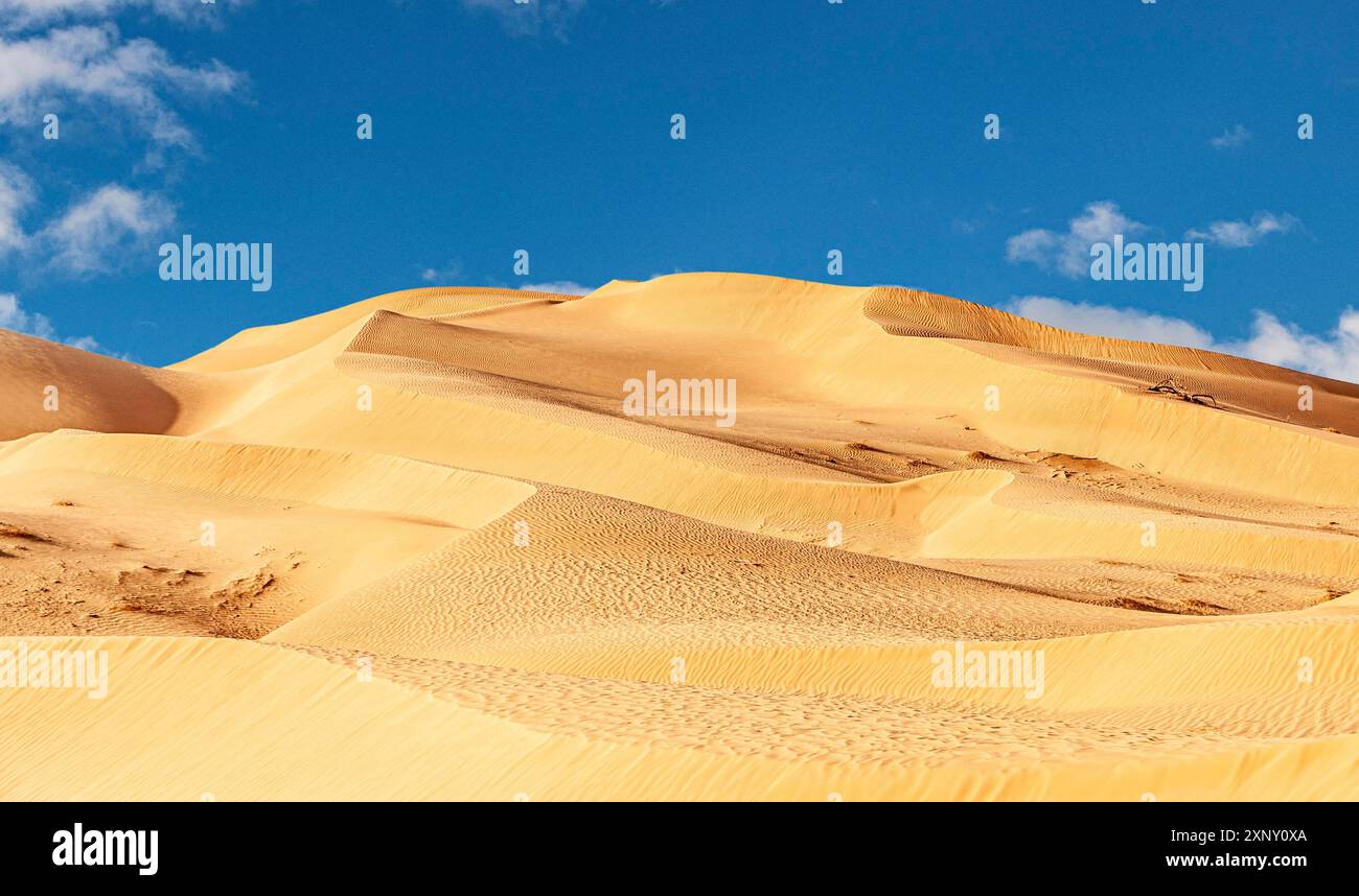 Offroad Jeep safari in the beautiful Omani Rub al-Chali Desert Stock ...