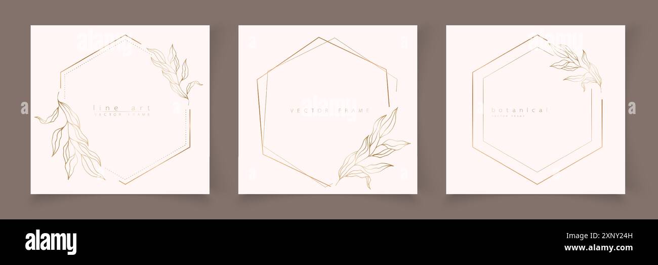 Set of hexagon frame templates in minimal linear style Stock Vector ...