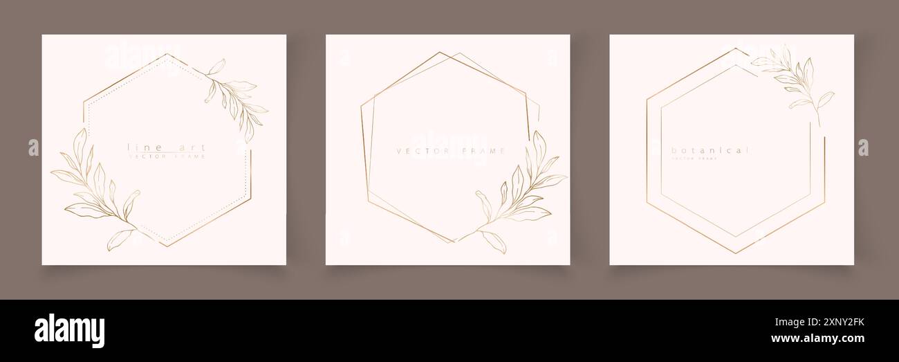 Set of hexagon frame templates in minimal linear style Stock Vector ...