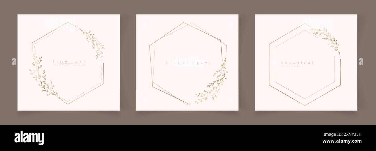 Set of hexagon frame templates in minimal linear style Stock Vector ...