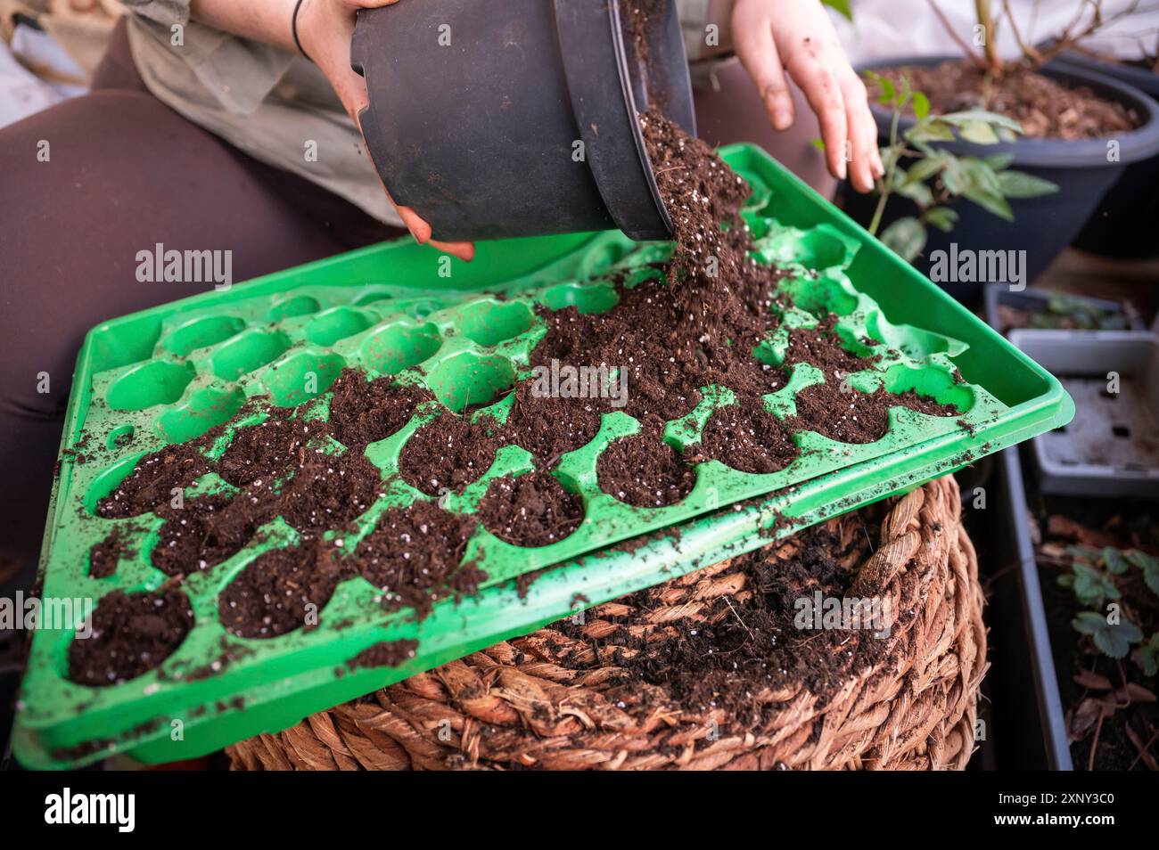 Woman filling form outdoor hi-res stock photography and images - Alamy