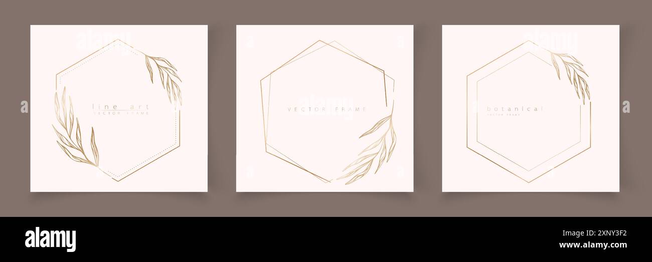 Set of hexagon frame templates in minimal linear style Stock Vector ...