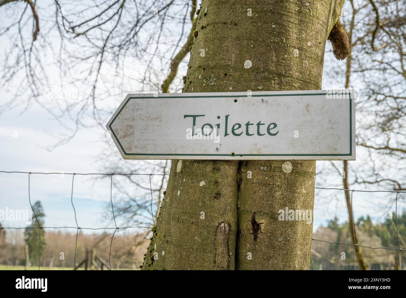 German white toilet Toilette direction sign at a tree trunk Stock Photo ...