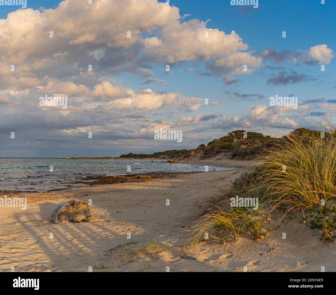 Beach hike to the Torre Guaceto in Apulia, Italy through the maritime ...