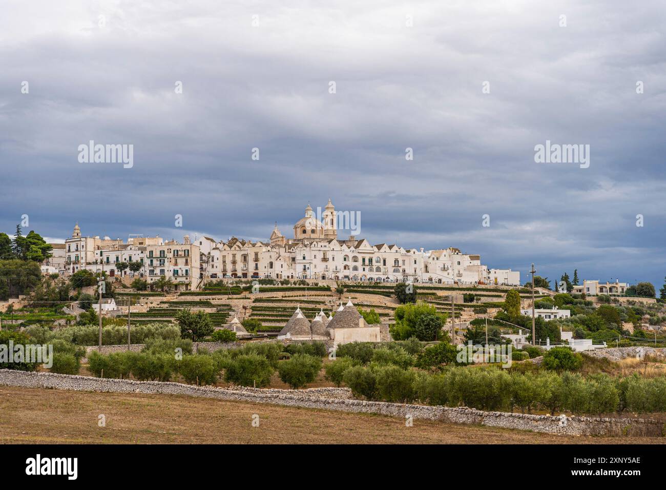 View of the skyline of Locortondo in Puglia from an olive tree field ...