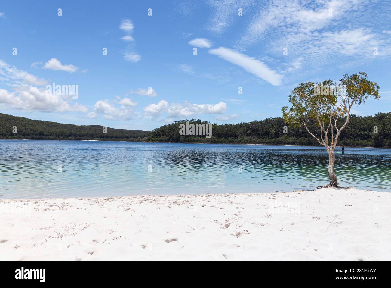 Lake McKenzie is a shallow groundwater lake on Fraser Island in ...
