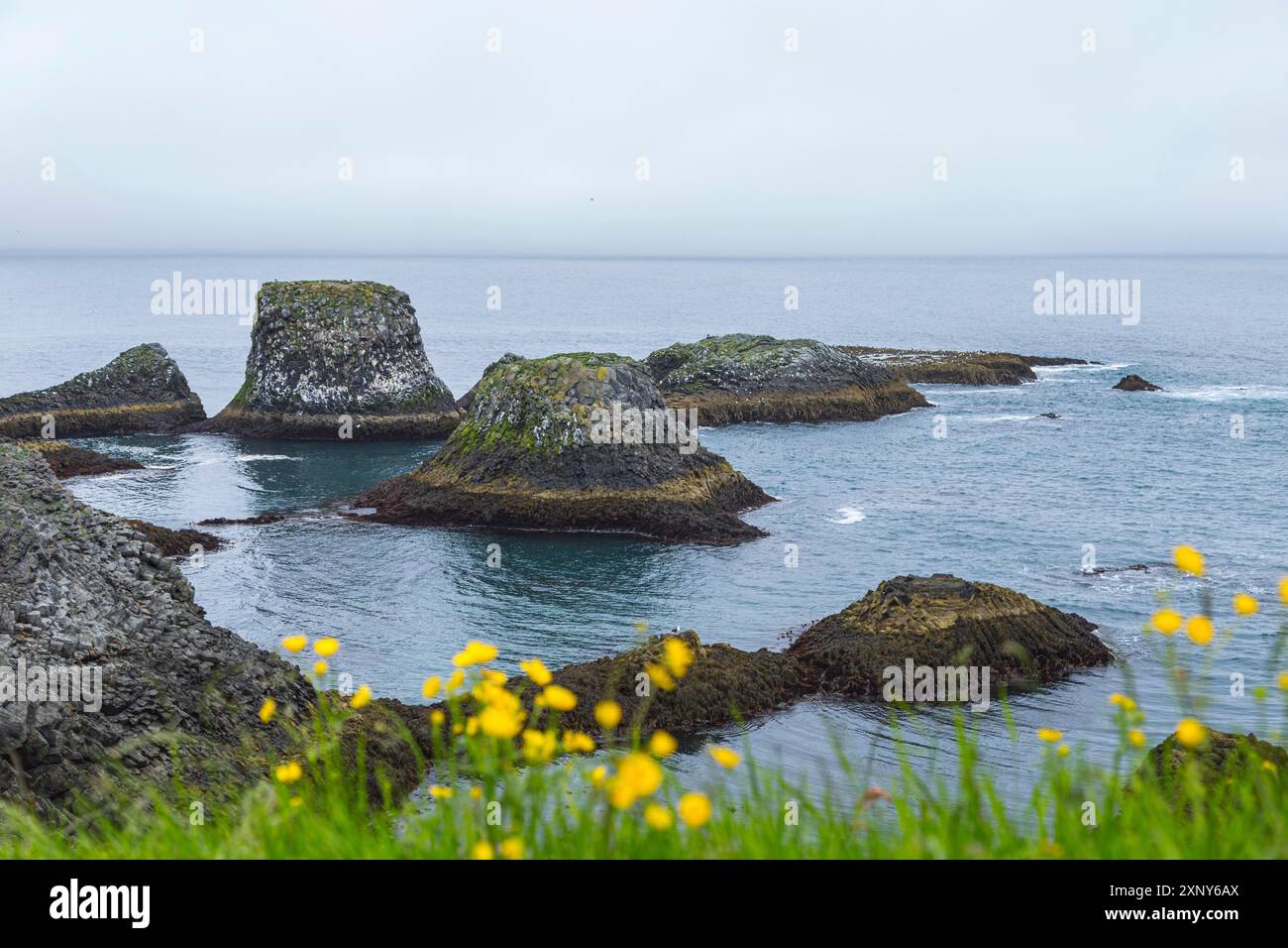 Hike from Arnarstapi to the Stone Bridge in the south of Iceland Stock ...