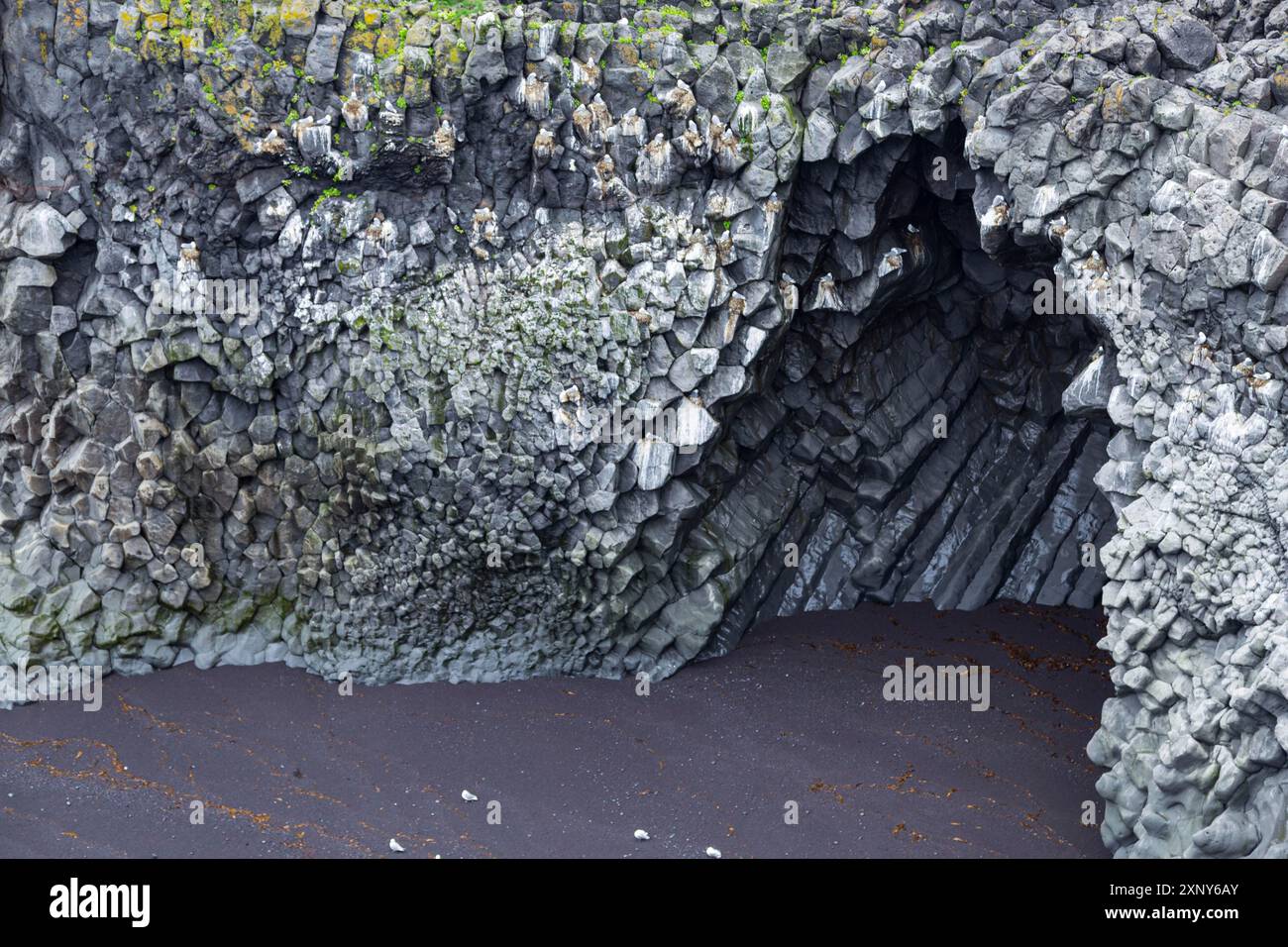 Hike from Arnarstapi to the Stone Bridge in the south of Iceland Stock ...