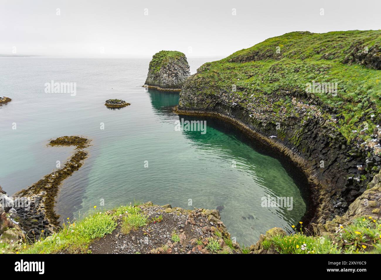Hike from Arnarstapi to the Stone Bridge in the south of Iceland Stock ...