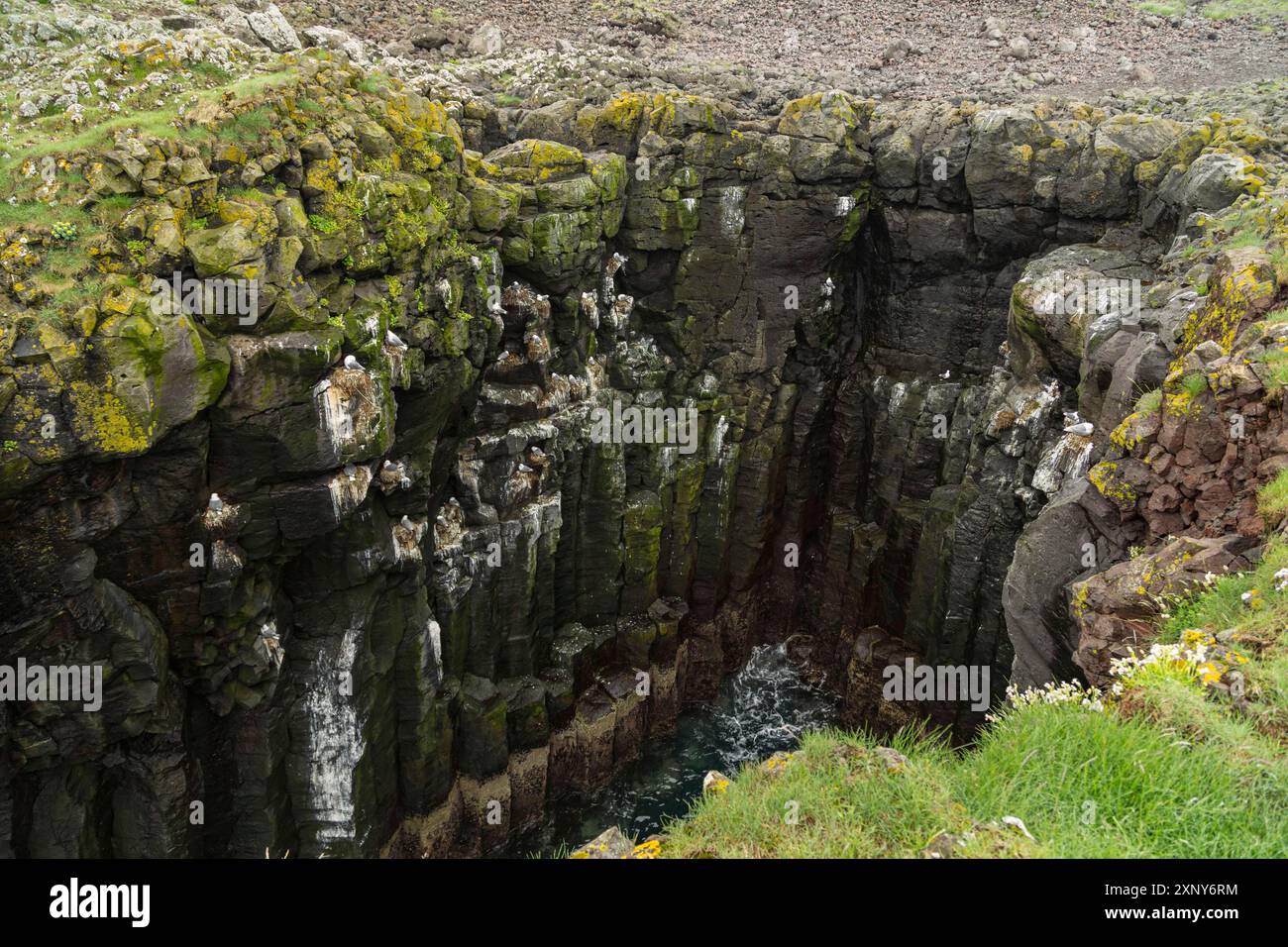 Hike from Arnarstapi to the Stone Bridge in the south of Iceland Stock ...