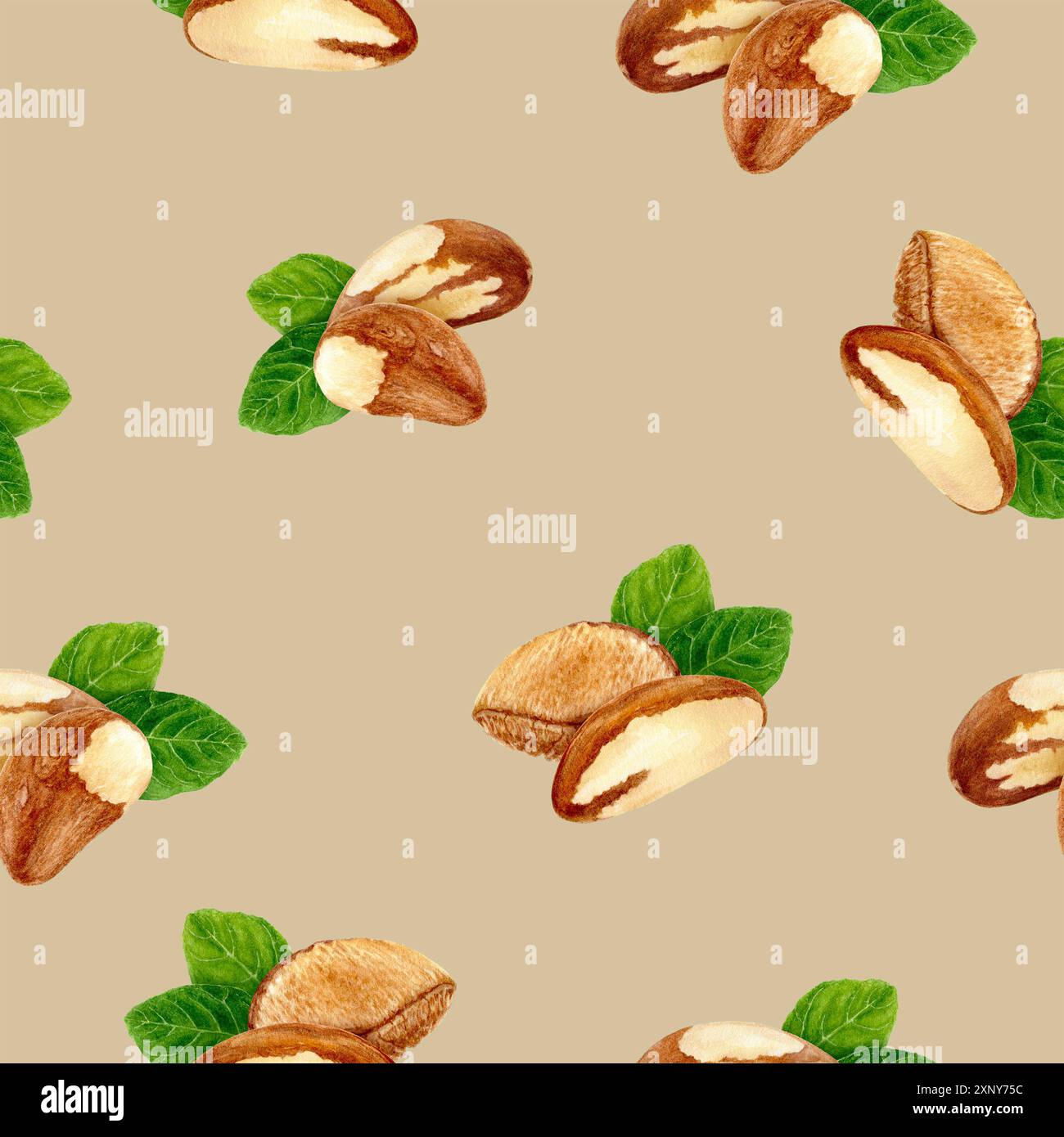 A Realistic Watercolor Seamless Pattern of Brazil Nuts and Leaves Set ...