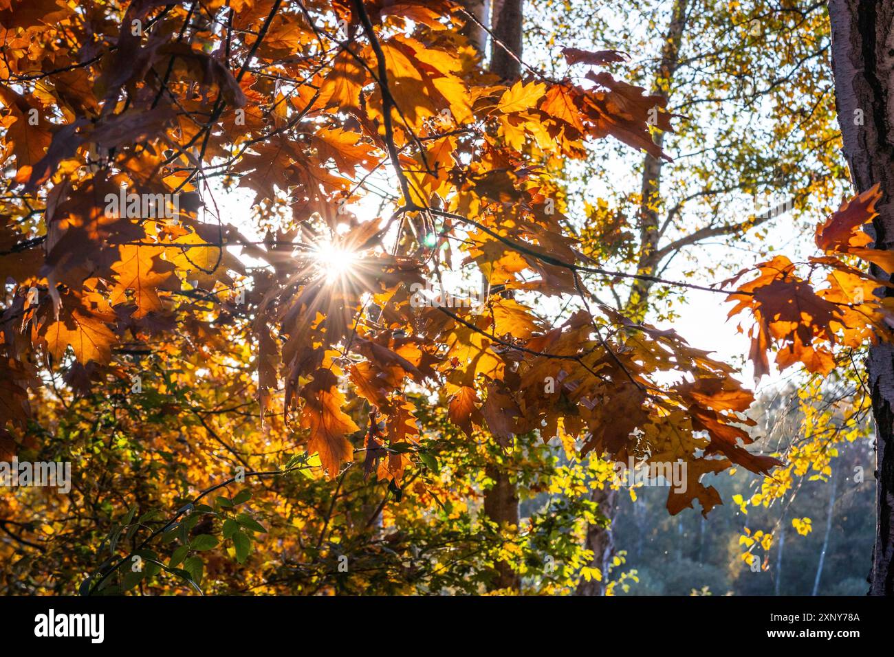 Six lake plateau hi-res stock photography and images - Alamy