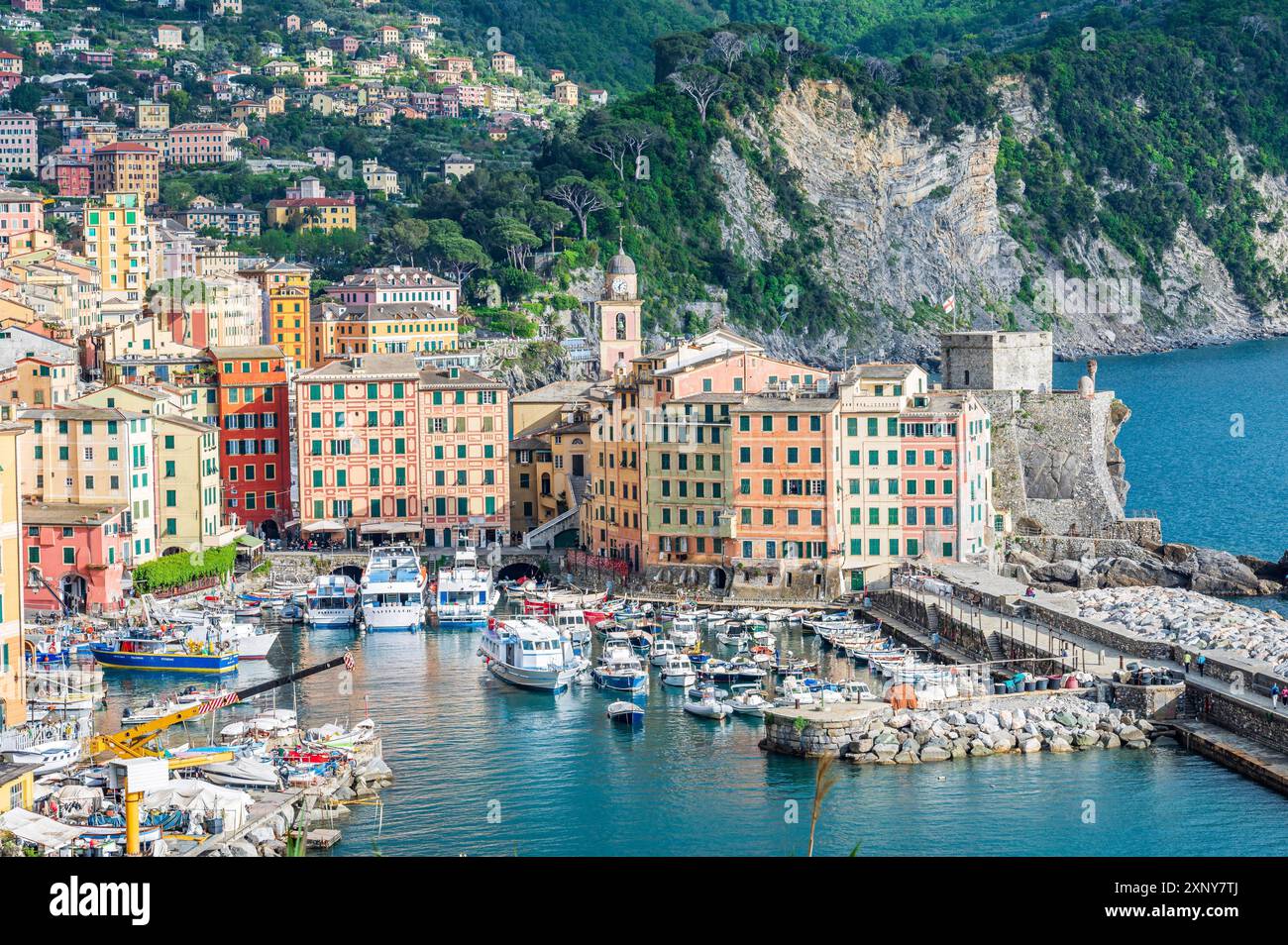 The colorful houses of the marine village of Camogli on the italian ...