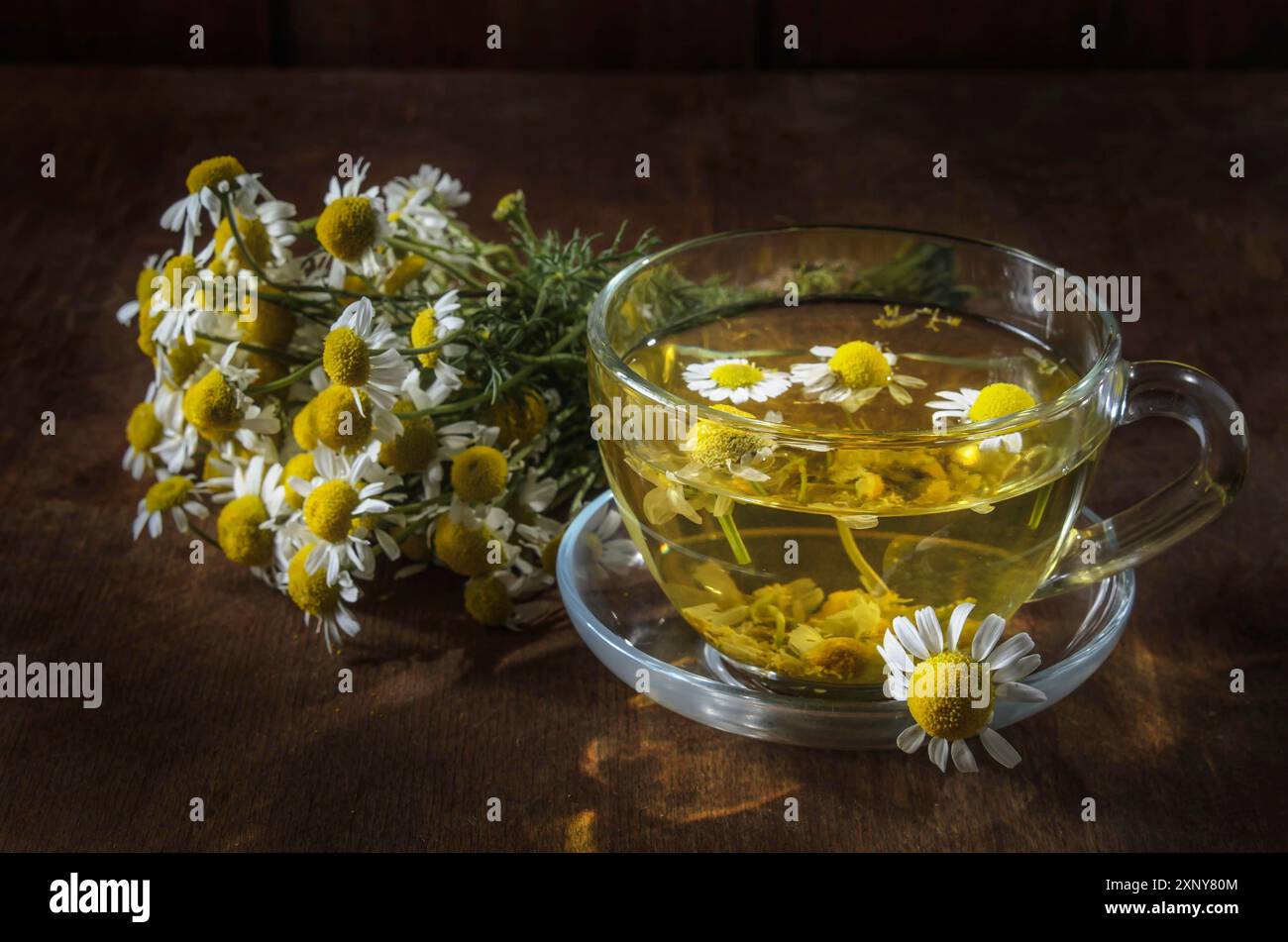 Herbal tea cup and daisy medicinal herbs bunches on wooden board Stock ...