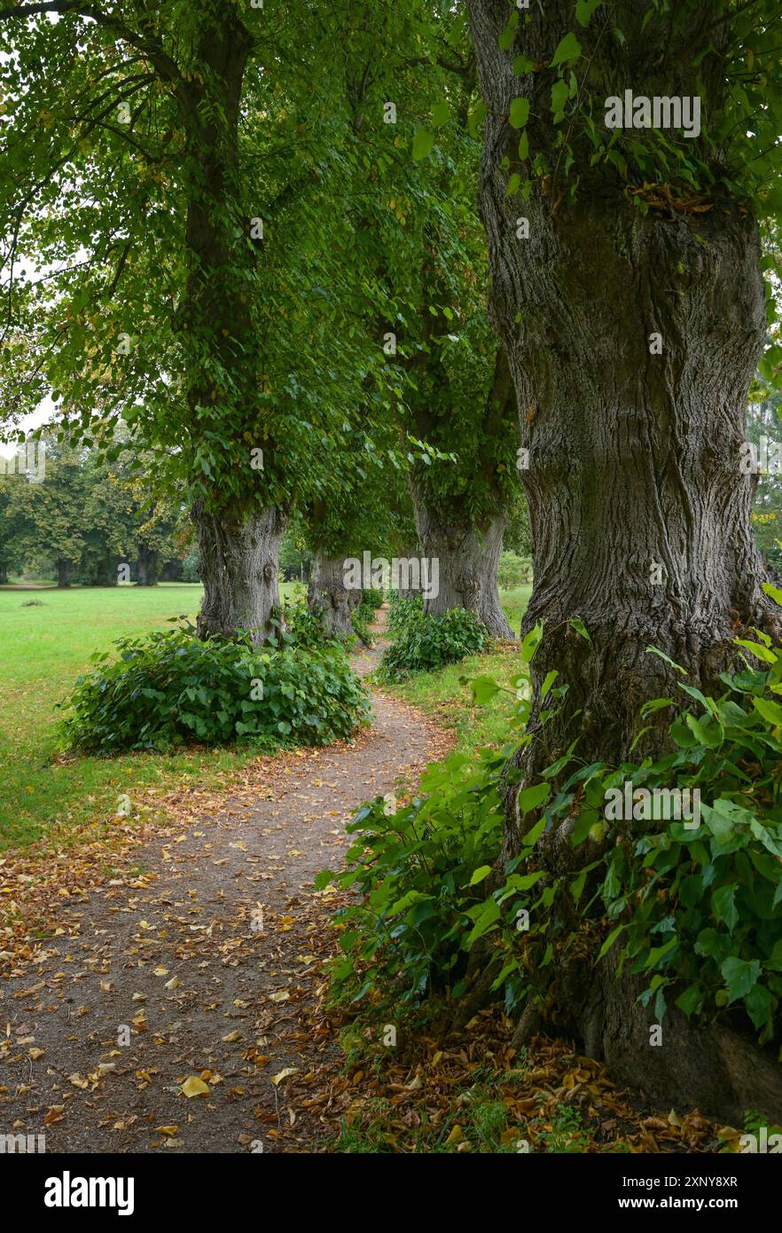 Winding footpath hi-res stock photography and images - Alamy