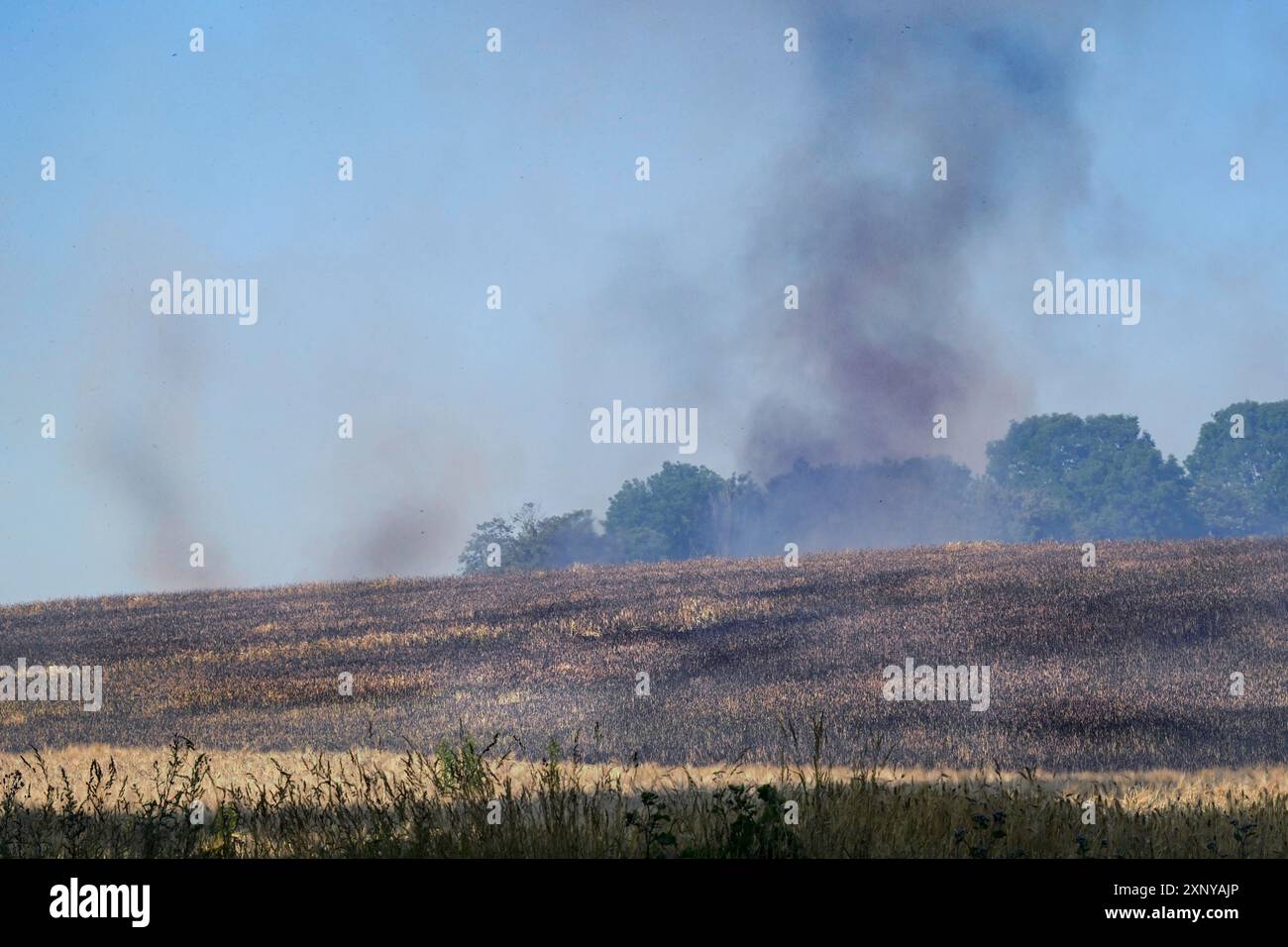 Smoke and ash particles over a burnt agricultural field from a field ...