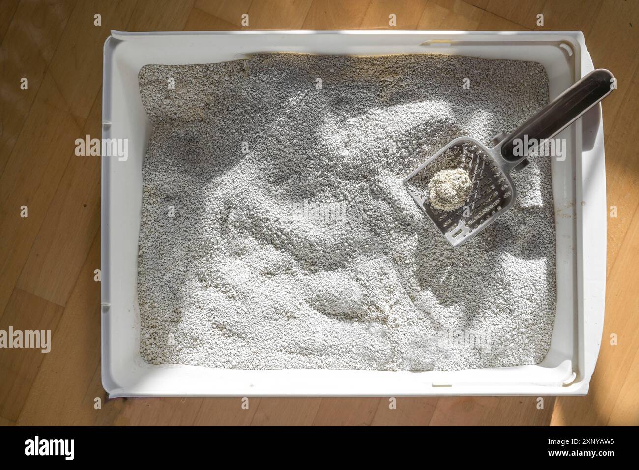 Cat toilet box, clumping litter binding liquids in a clump which is ...