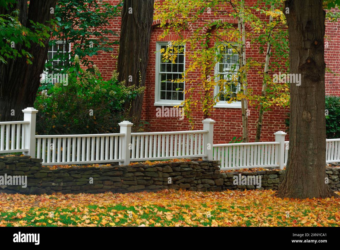 A brick house in autumn with yellow leaves, a white picket fence, trees ...