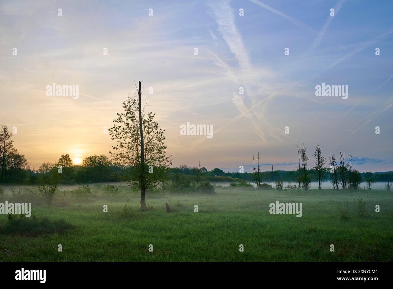 Peaceful landscape with trees hi-res stock photography and images - Alamy