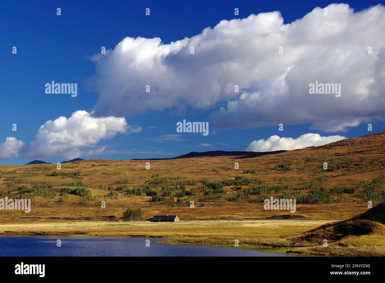 Gentle hills and wide grassland under a clear blue sky with white ...