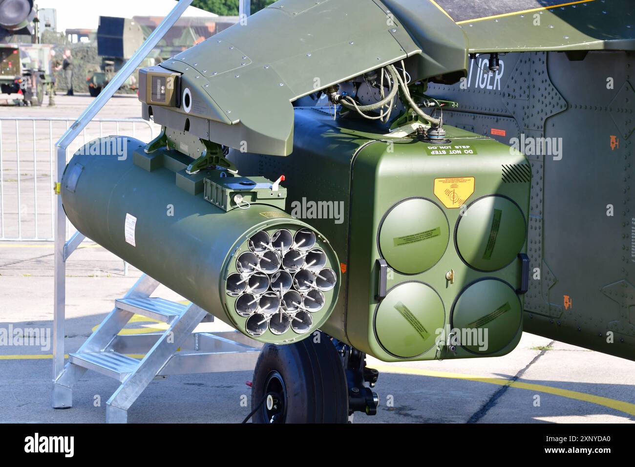 Stub tiger hi-res stock photography and images - Alamy