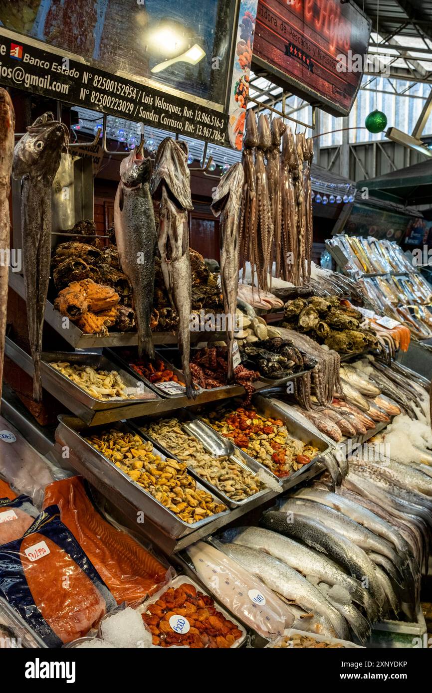 Chile patagonia puerto montt hi-res stock photography and images - Alamy