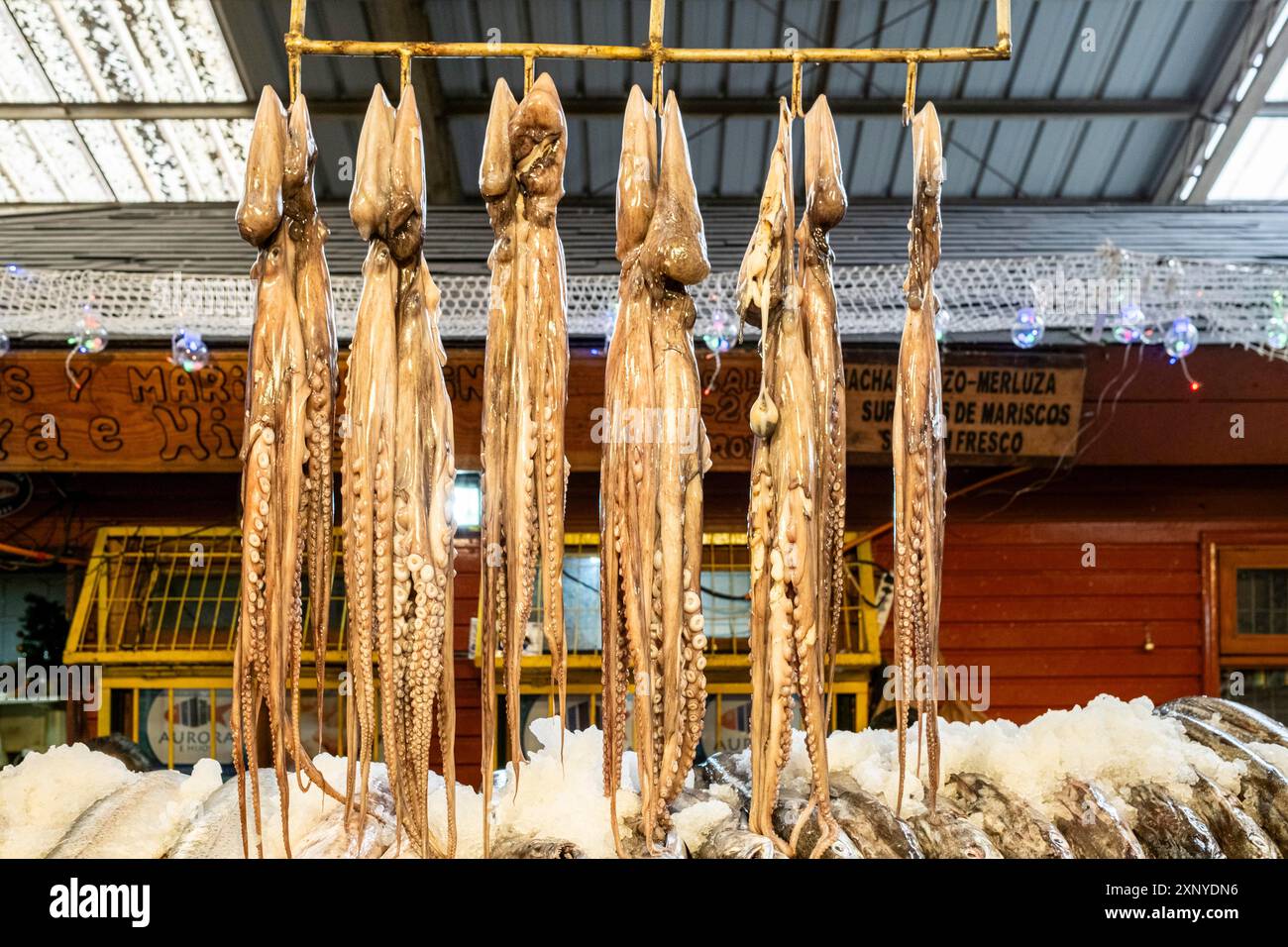 Angelmo Fish Market, Puerto Montt, Chile Stock Photo - Alamy