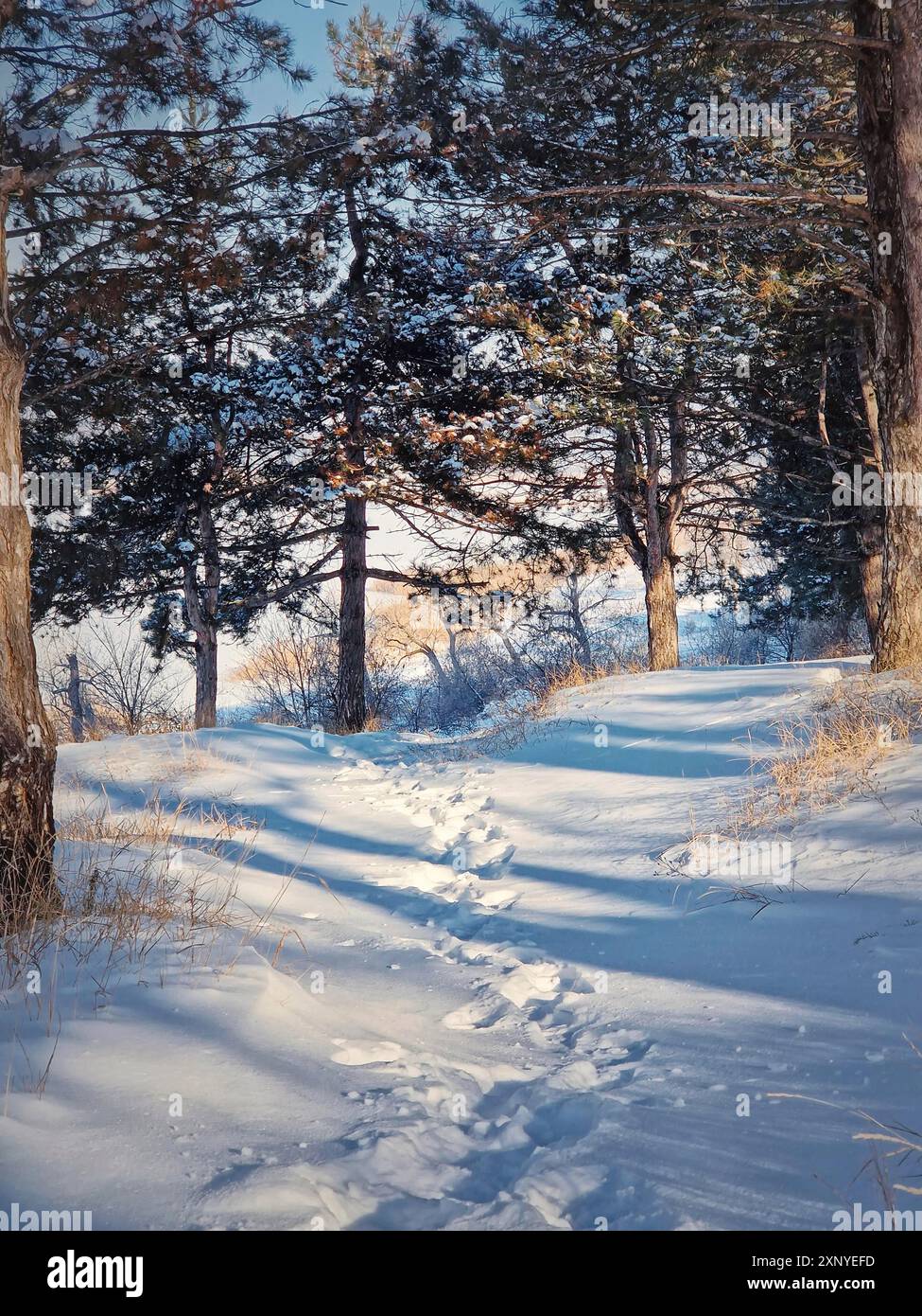 Sunlight creeping through hi-res stock photography and images - Alamy