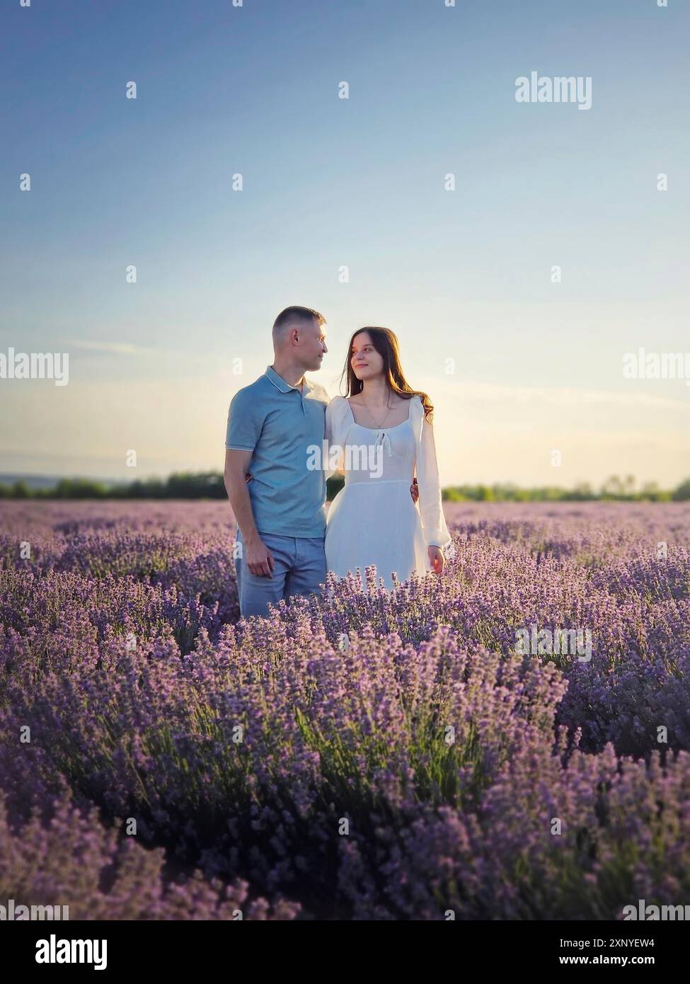 Young couple walking together on a date in the lavender field ...