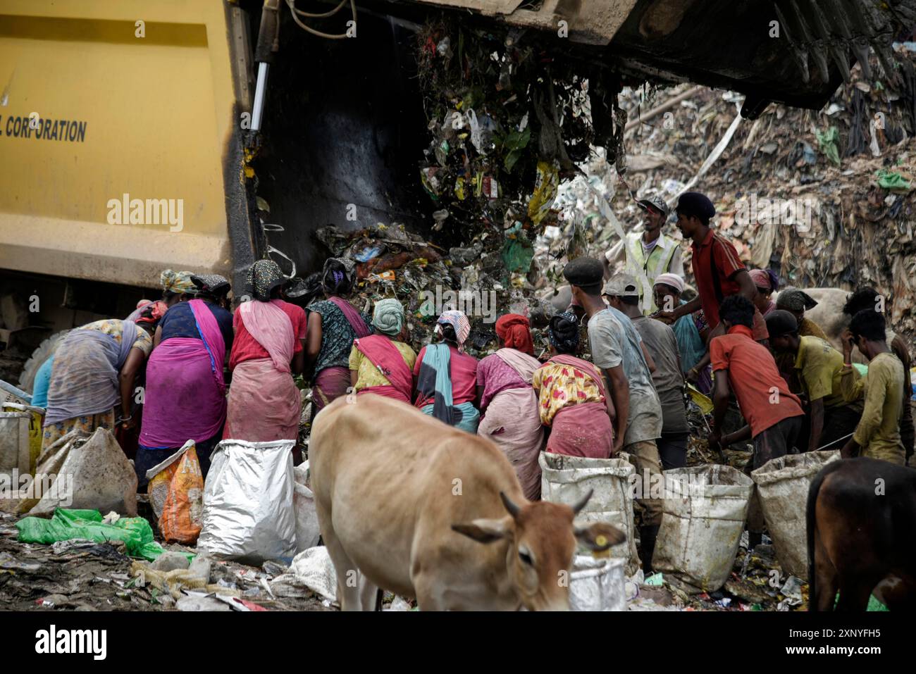 Municipality truck unloads garbage as rag pickers searches for ...