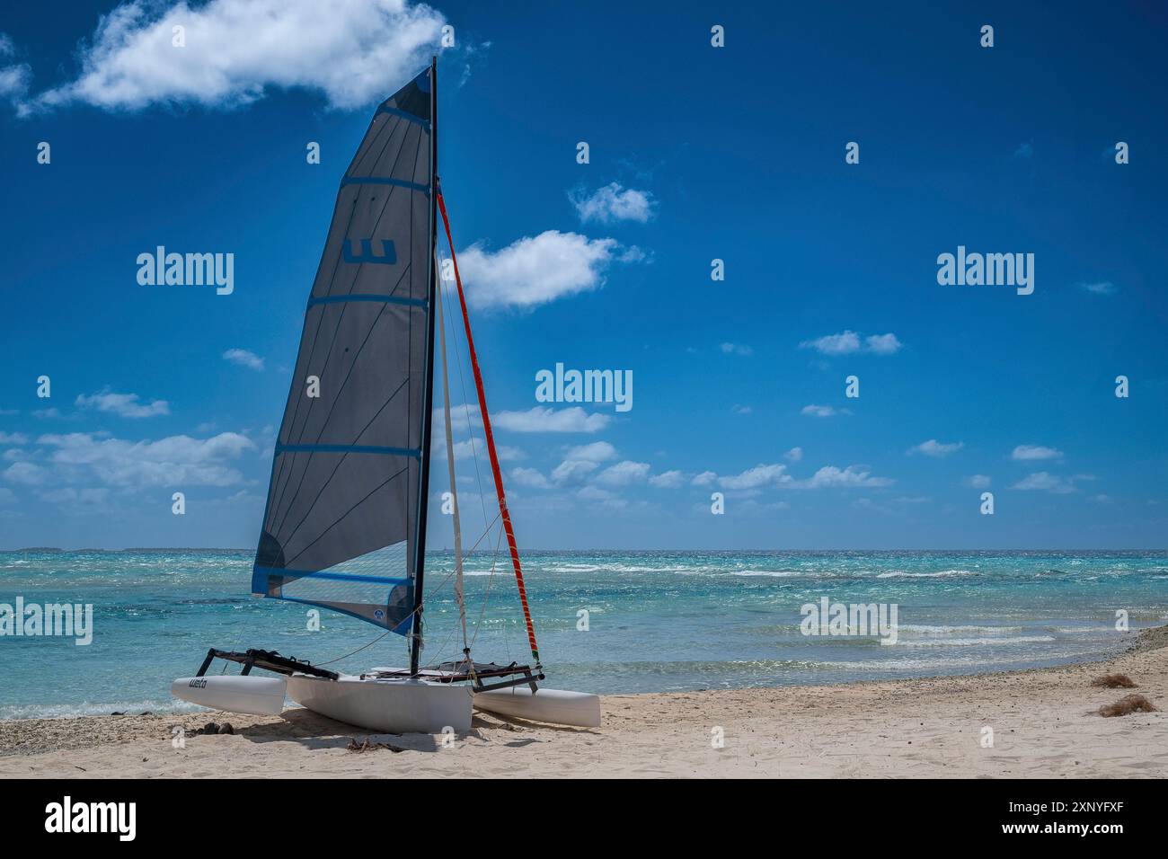 Catamaran anchored in the Pacific Ocean, Tikehau, Atoll, Tuamotu ...