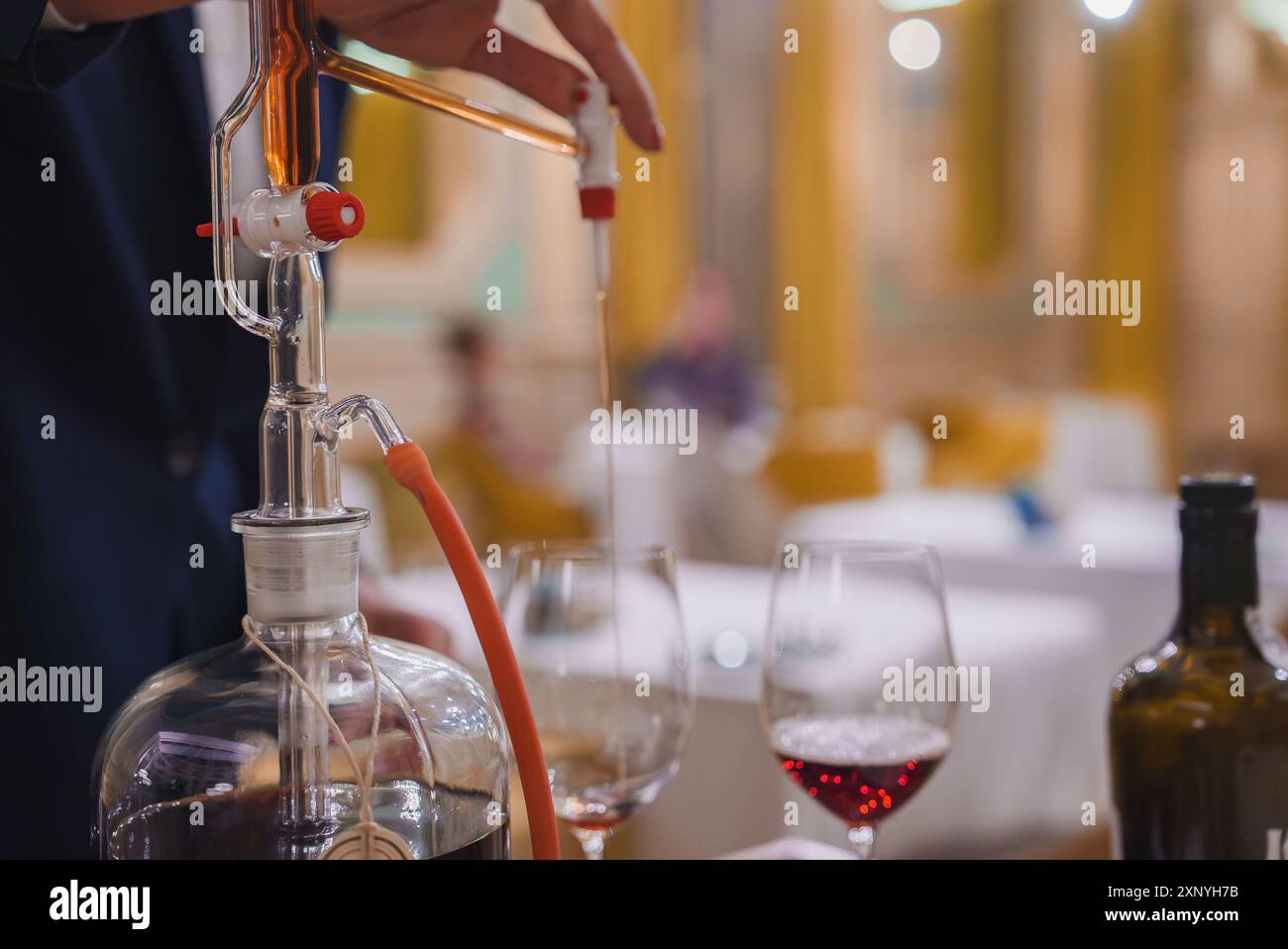Elegant Wine Decanting in Luxurious Hotel Dining Room with Golden Decor ...