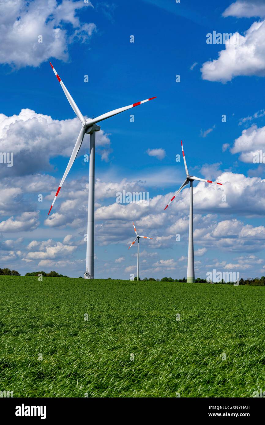 Wind farm, wind turbine, wind turbines from the manufacturer Enercon ...