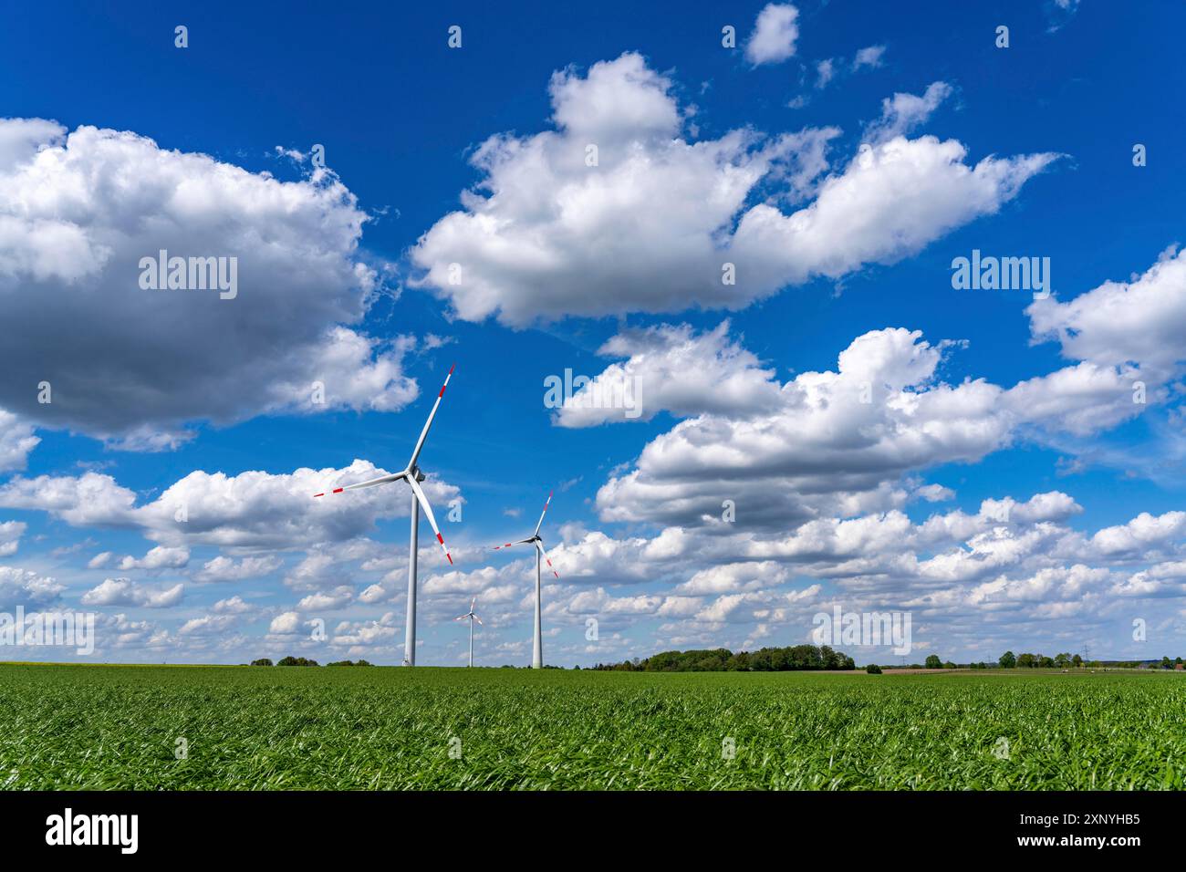 Wind farm, wind turbine, wind turbines from the manufacturer Enercon ...