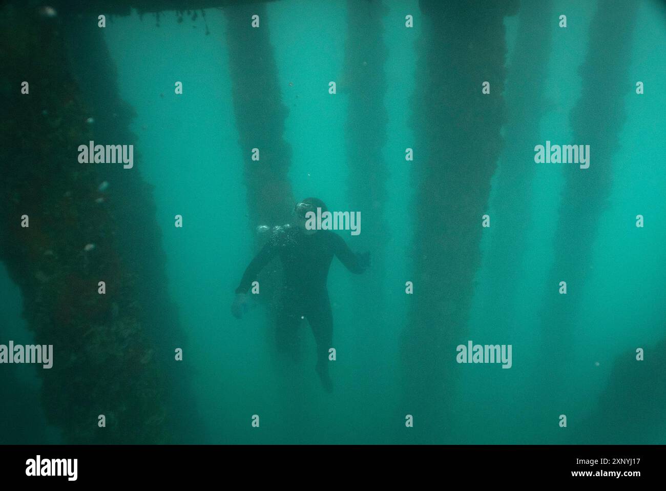 July 29, 2024 - Hawaii, USA - U.S. Army divers from the 7th Engineer ...