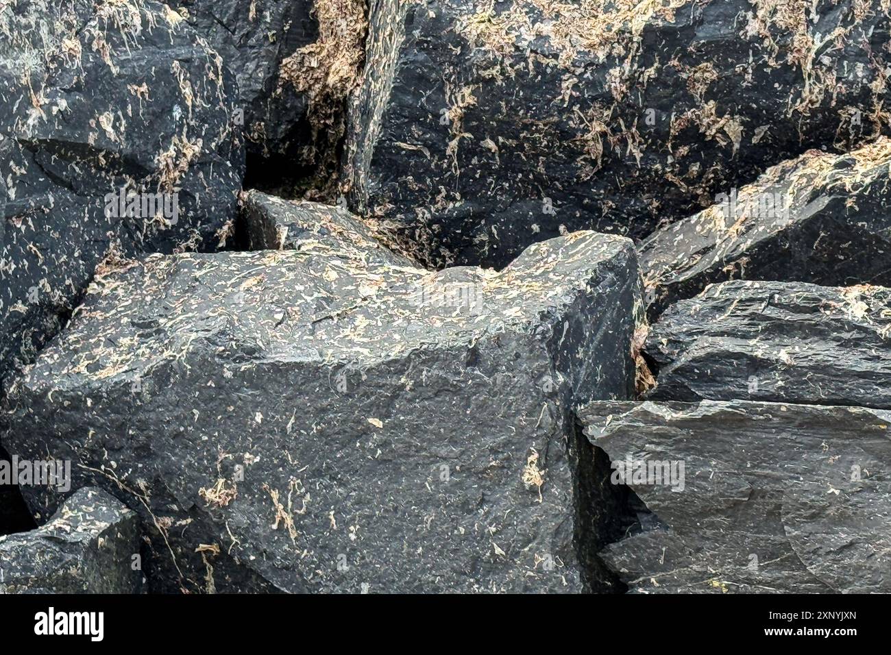 Closeup of several huge boulders that are part of a seawall, creates a ...
