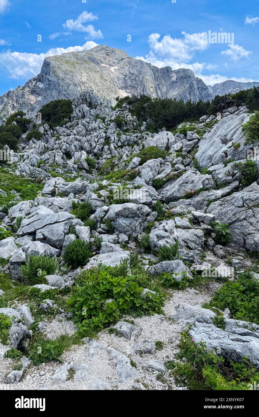Vertical shot of interesting rock formations dominating the landscape ...