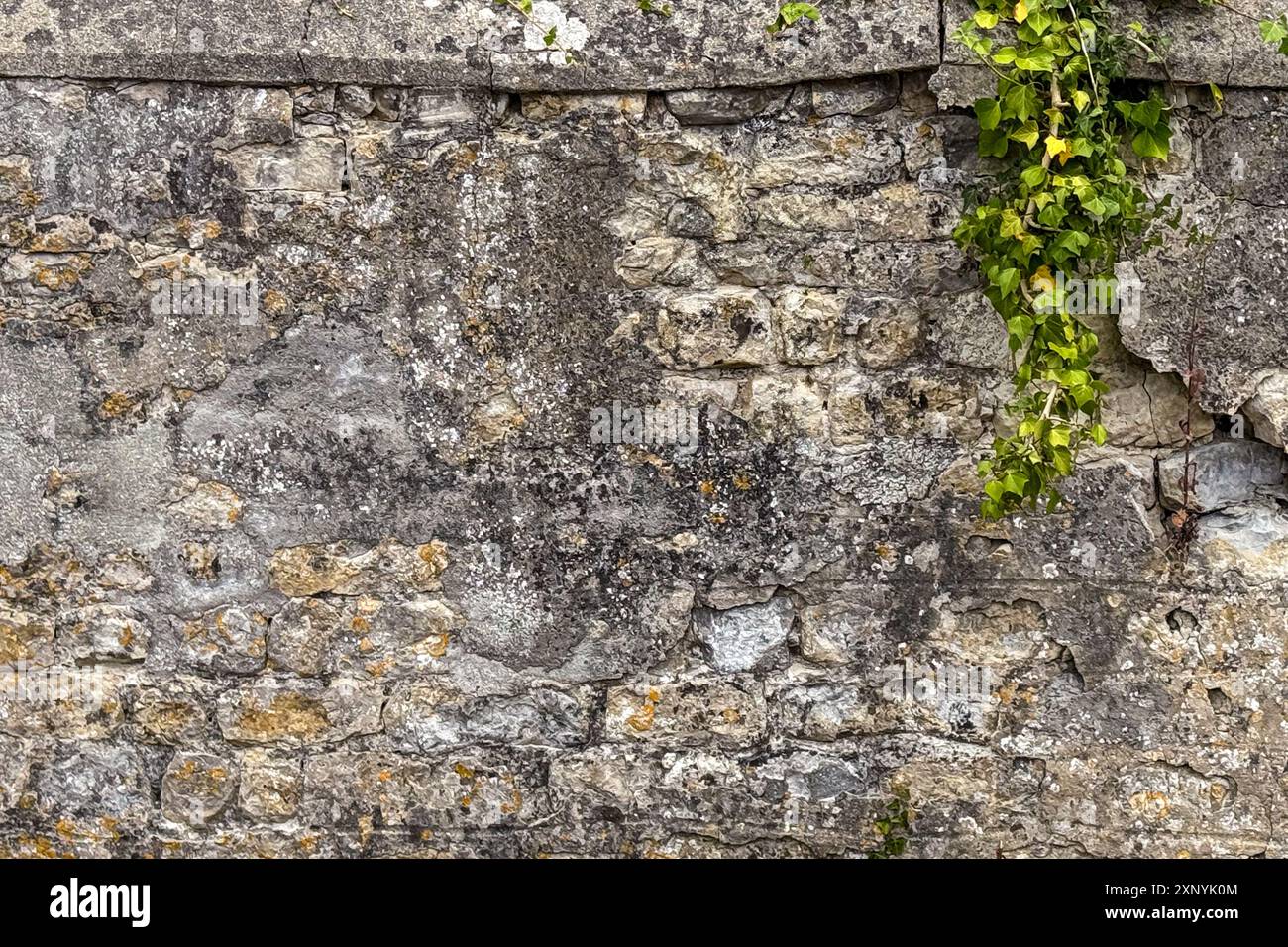 Still life shows an ancient, French medieval stone wall with a strand ...