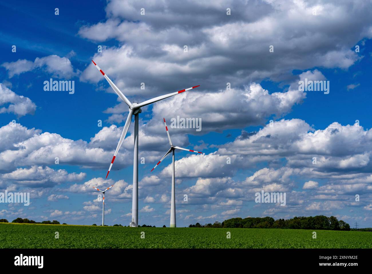 Wind farm, wind turbine, wind turbines from the manufacturer Enercon ...
