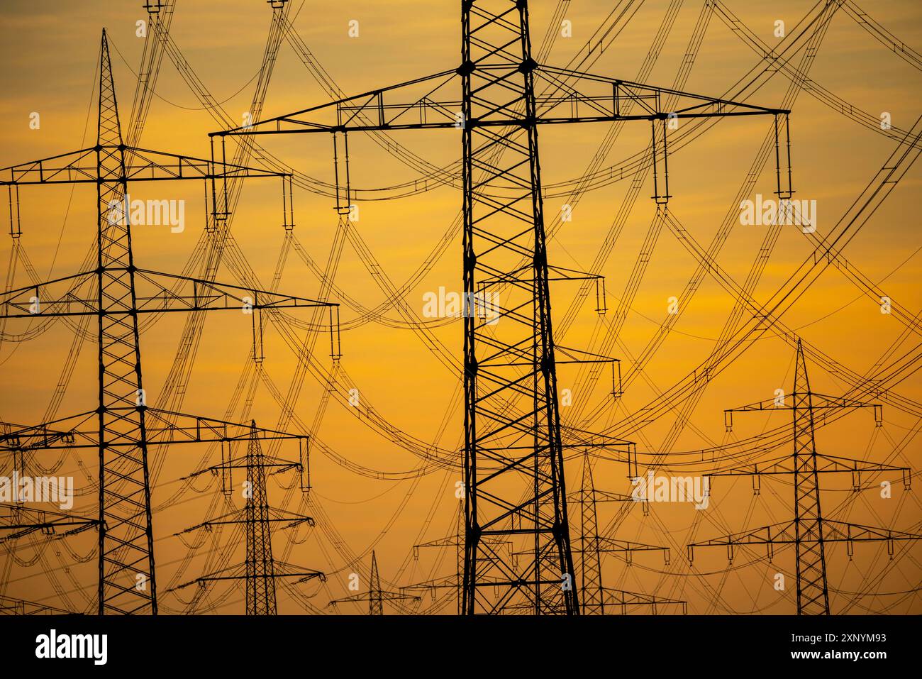 Extra-high-voltage lines, 380 KV, power line, the electricity comes ...