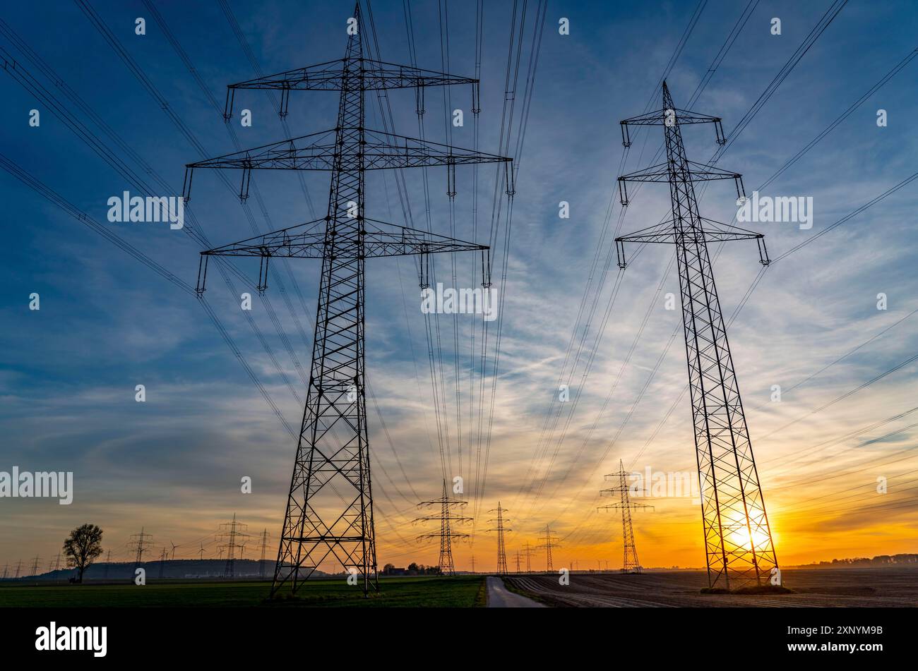Extra-high-voltage lines, 380 KV, power line, the electricity comes ...