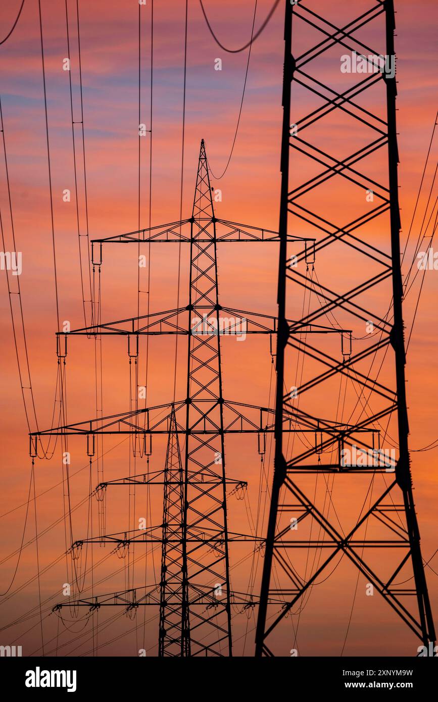 Extra-high-voltage lines, 380 KV, power line, the electricity comes ...