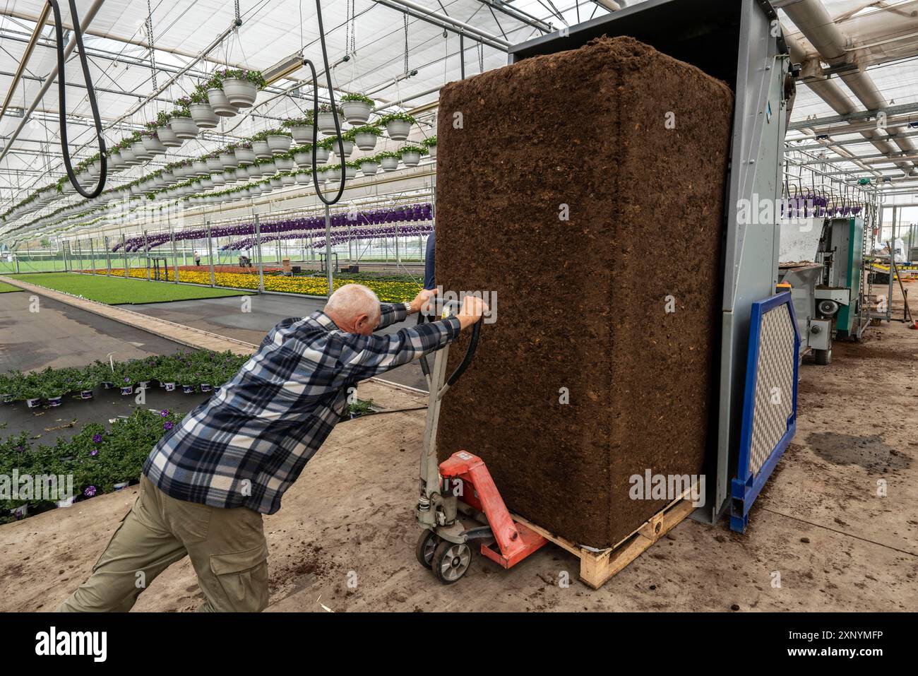 Pot placed in soil hi-res stock photography and images - Alamy